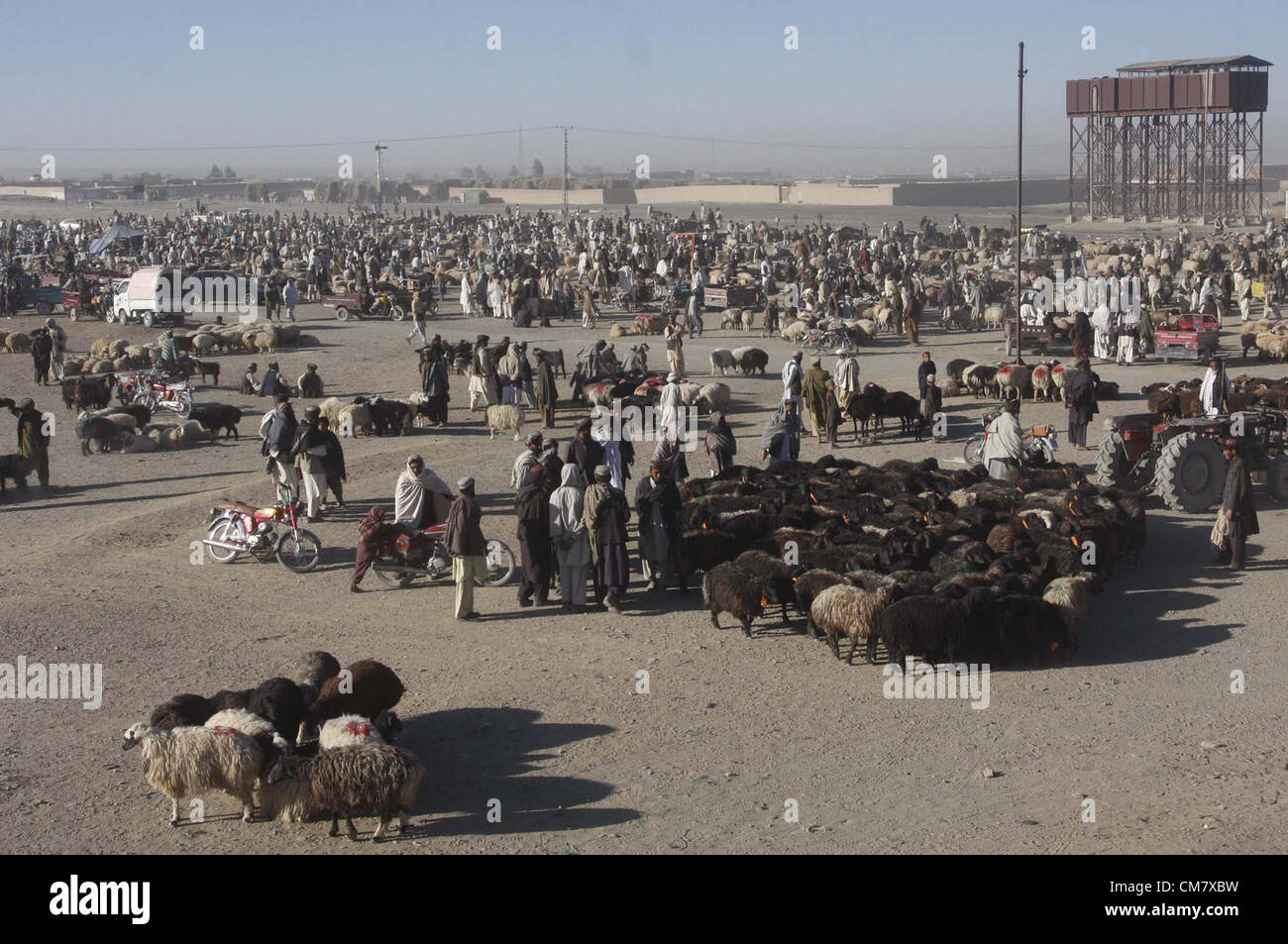 People busy in purchasing sacrificial animals at make-shift animal ...