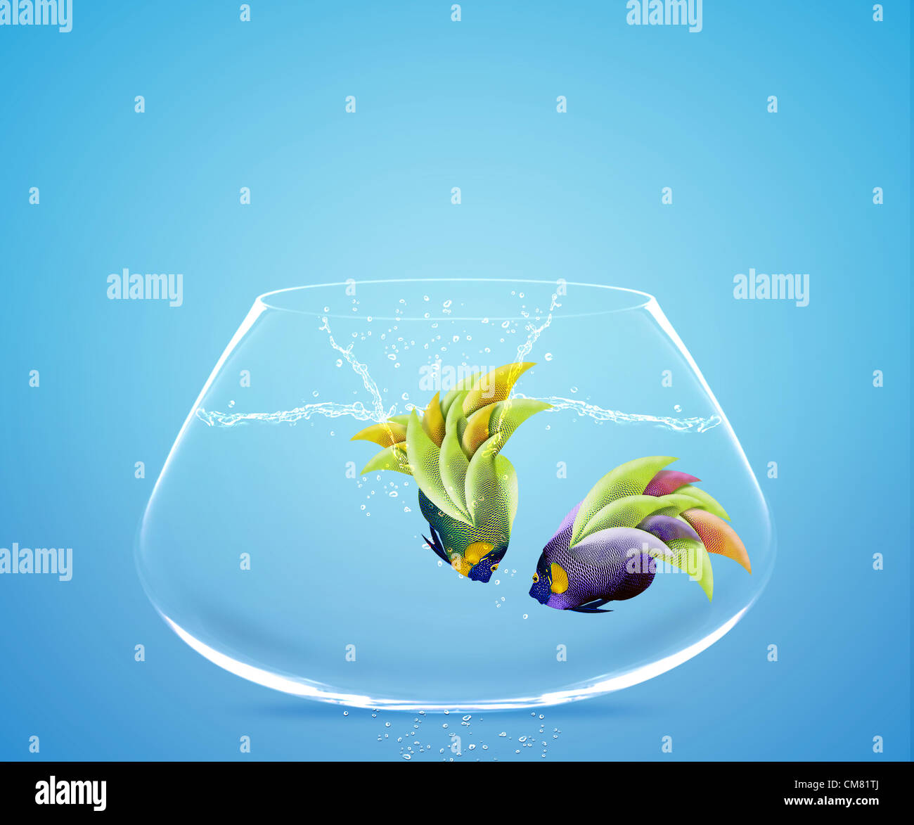 Angelfish jumping to other bowl, Good Concept for new love, freedom ...
