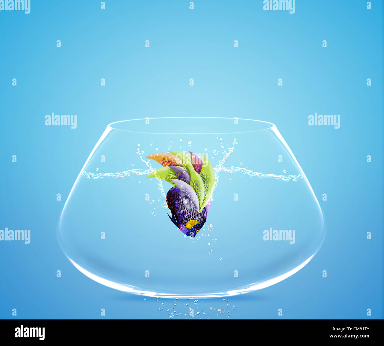 Angelfish jumping to other bowl, Good Concept for new love, freedom ...