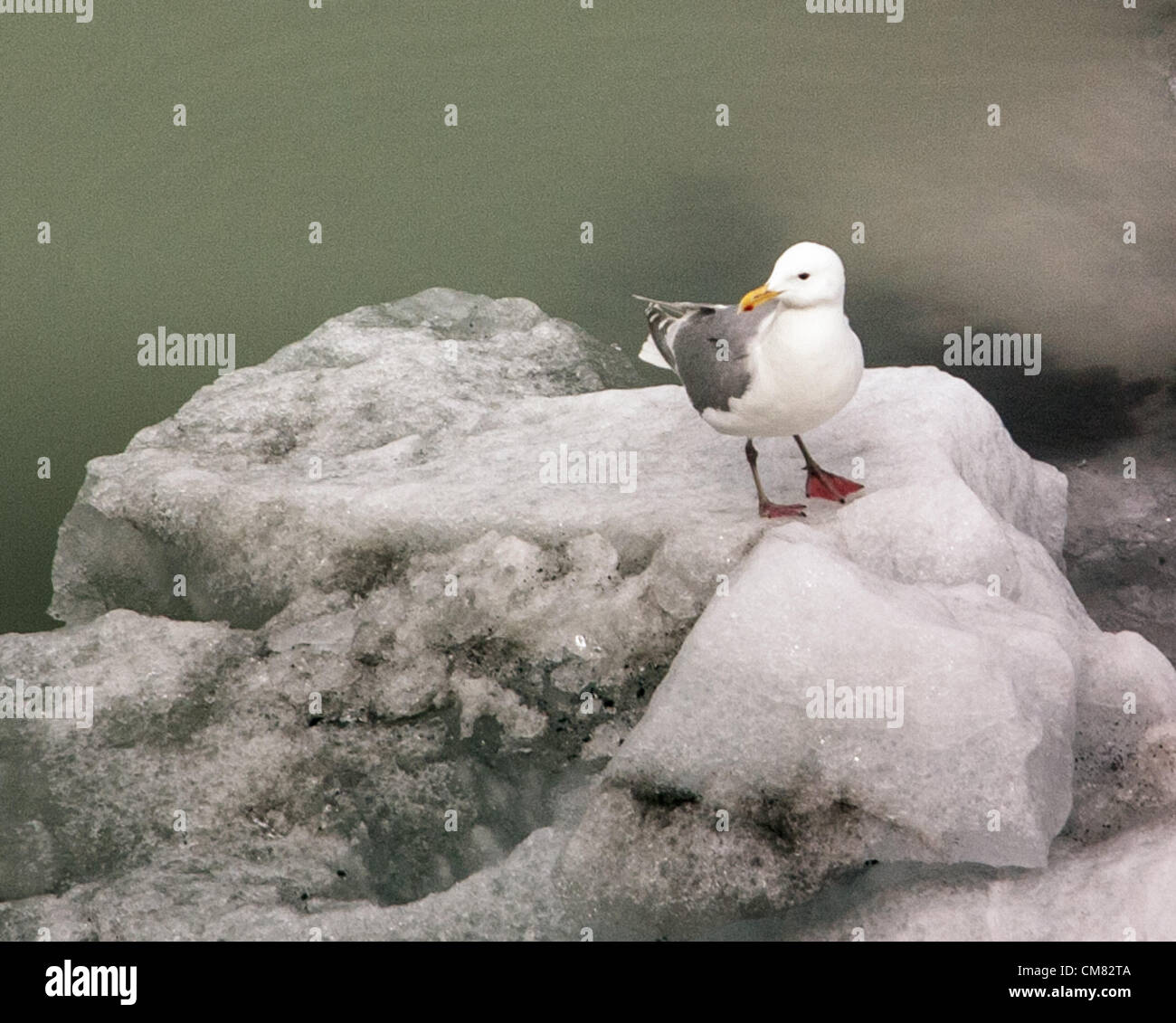 Largest ice glacier in alaska hi-res stock photography and images - Alamy