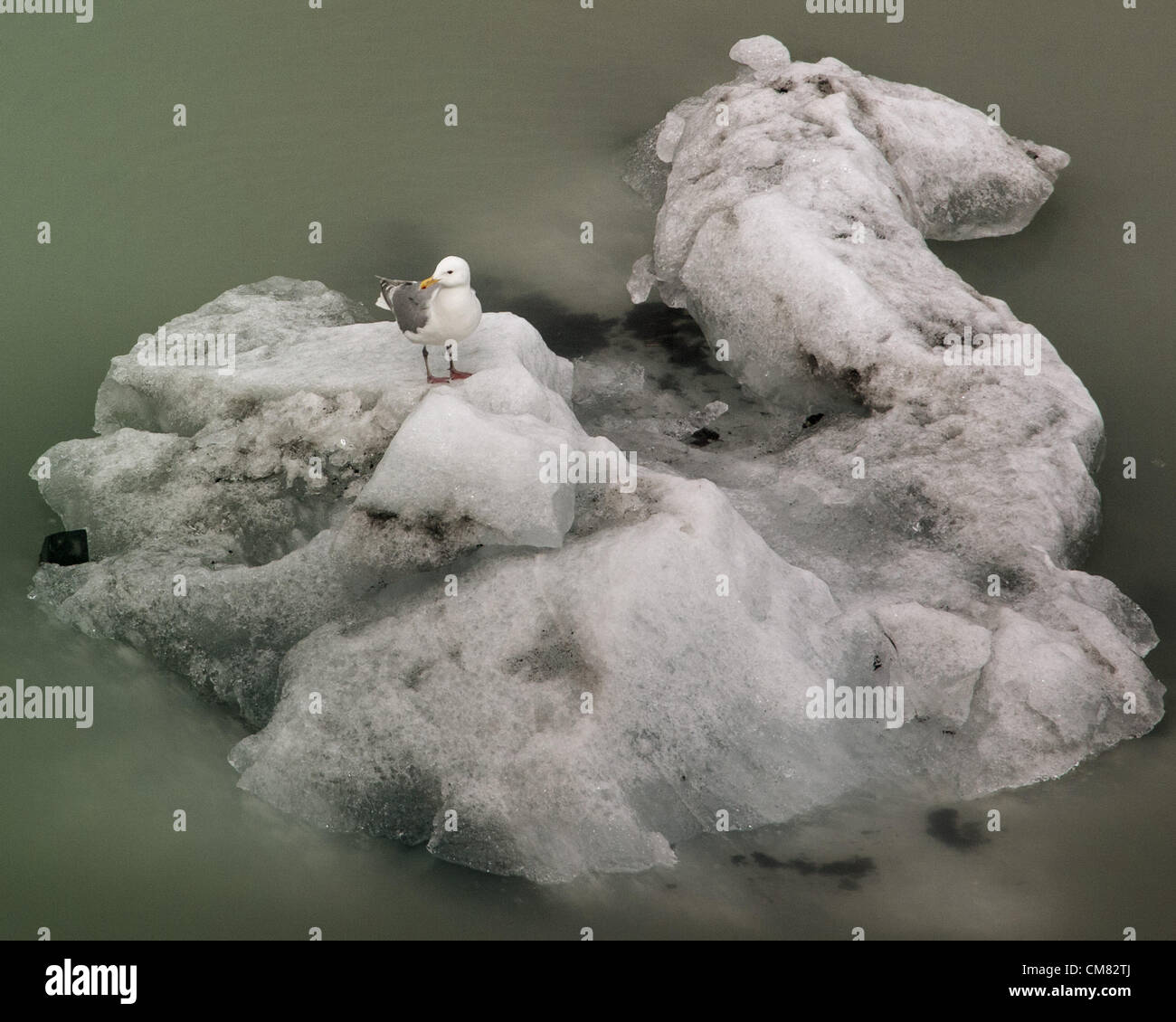Largest ice glacier in alaska hi-res stock photography and images - Alamy