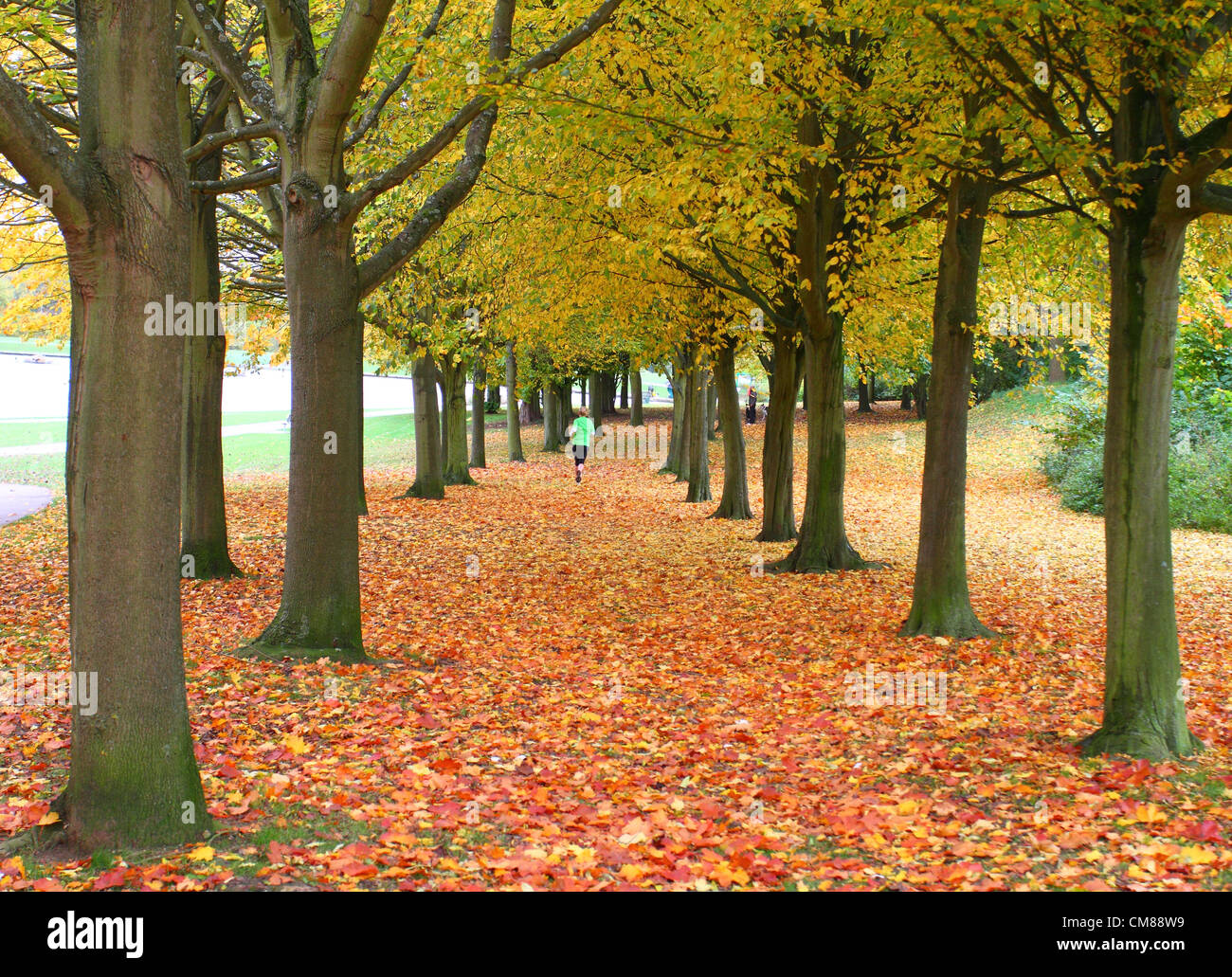 Fairlands Valley Stevenage High Resolution Stock Photography and Images ...