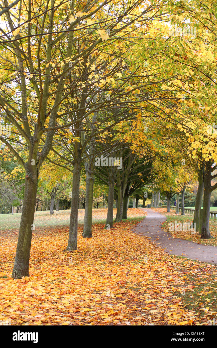 Hertfordshire, UK - Autumn Colours in Fairlands Valley Park, Stevenage ...
