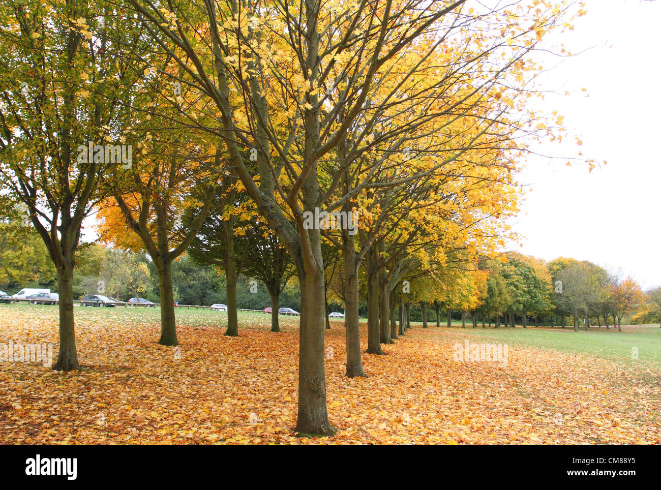 Fairlands hi-res stock photography and images - Alamy