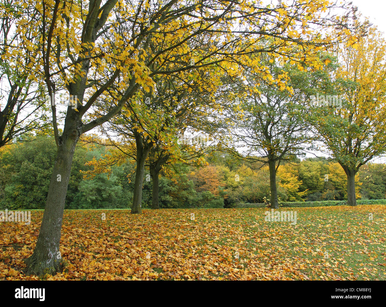 Fairlands valley hi-res stock photography and images - Alamy