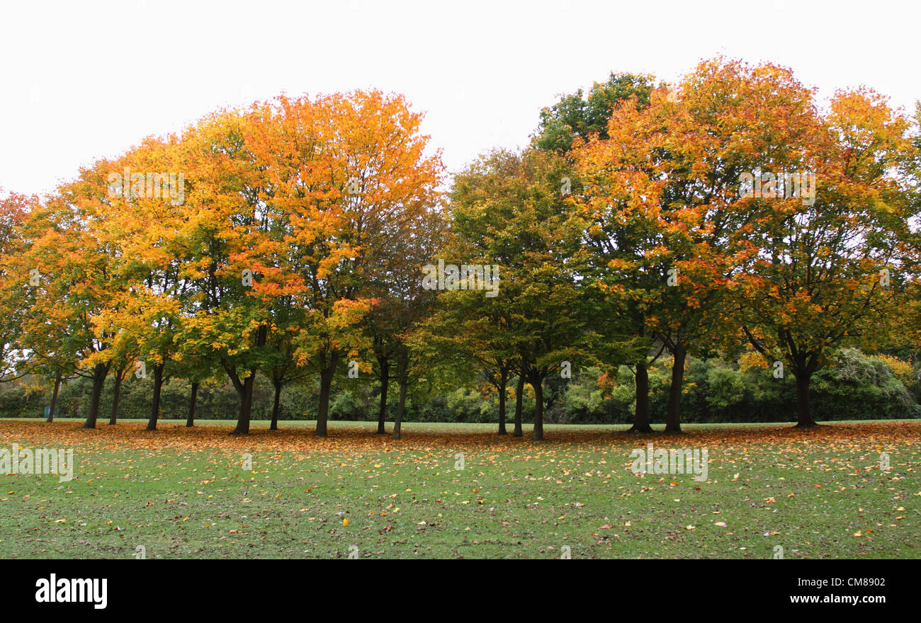 Fairlands Valley Stevenage High Resolution Stock Photography and Images ...