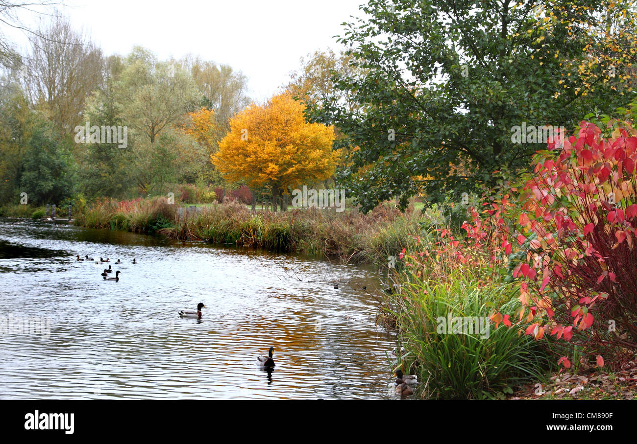 Fairlands valley park hi-res stock photography and images - Alamy
