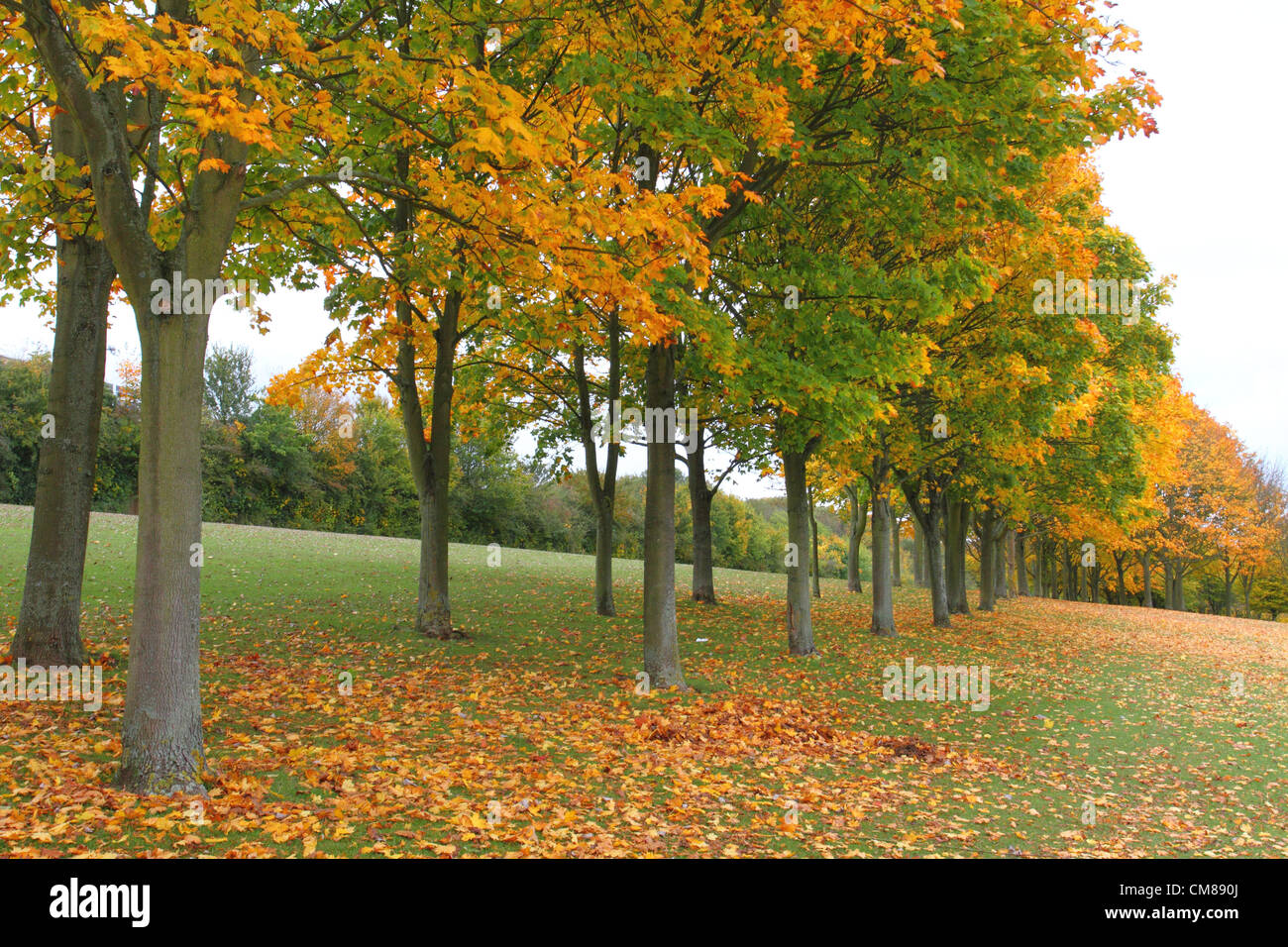 Fairlands hi-res stock photography and images - Alamy