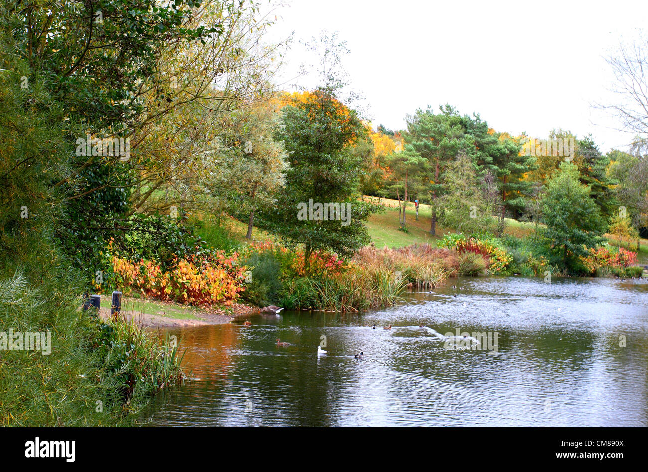 Fairlands valley hi-res stock photography and images - Alamy