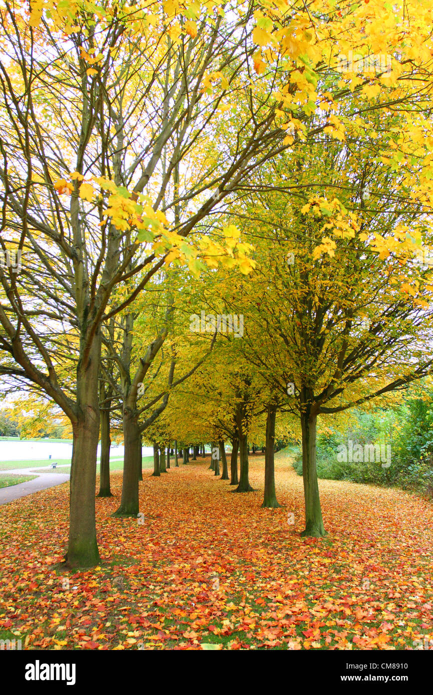 Fairlands Valley Stevenage High Resolution Stock Photography and Images ...