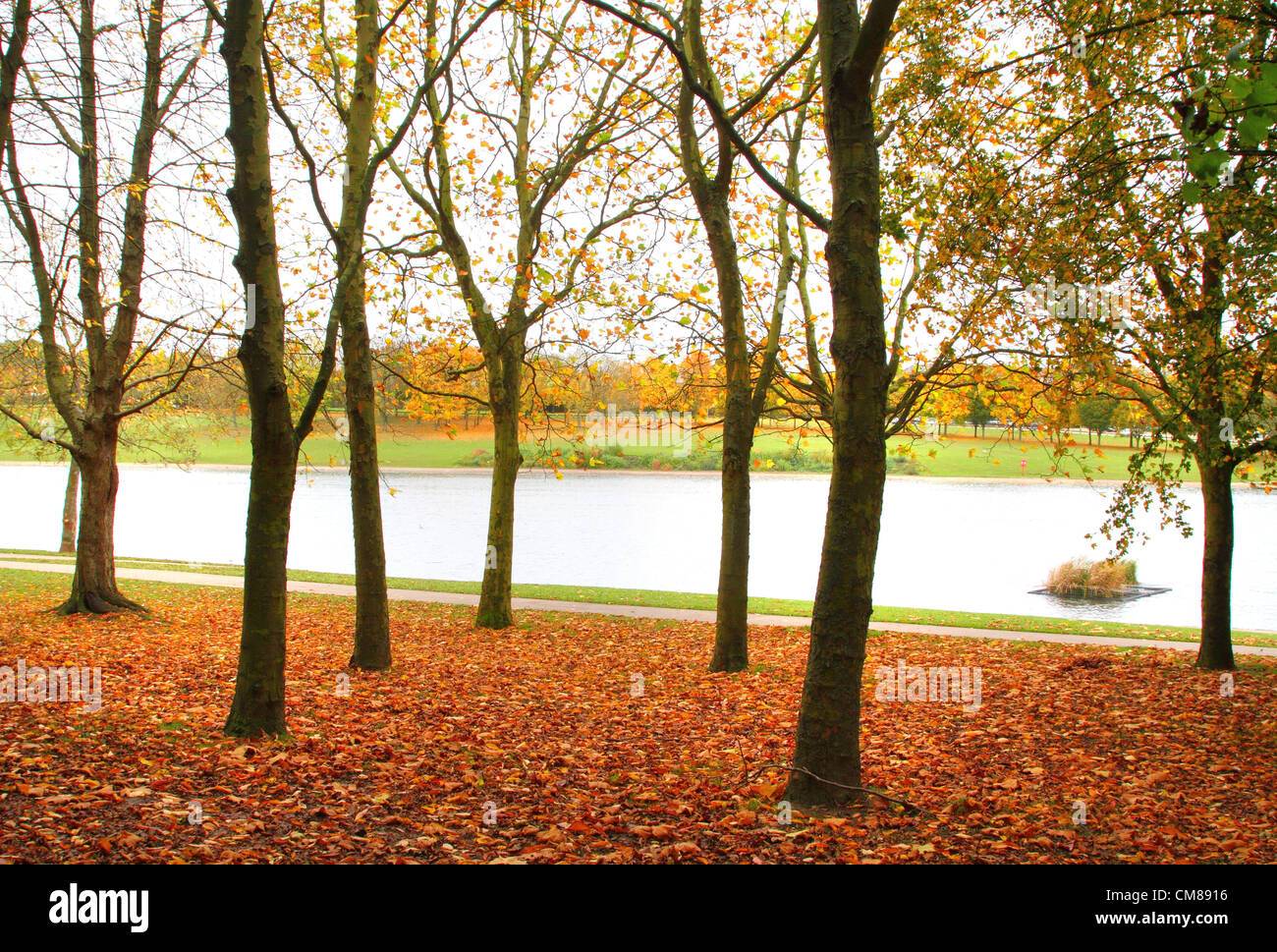 Fairlands hi-res stock photography and images - Alamy