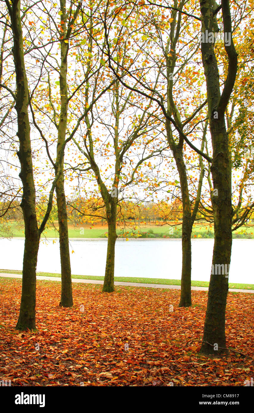 Fairlands valley park hi-res stock photography and images - Alamy