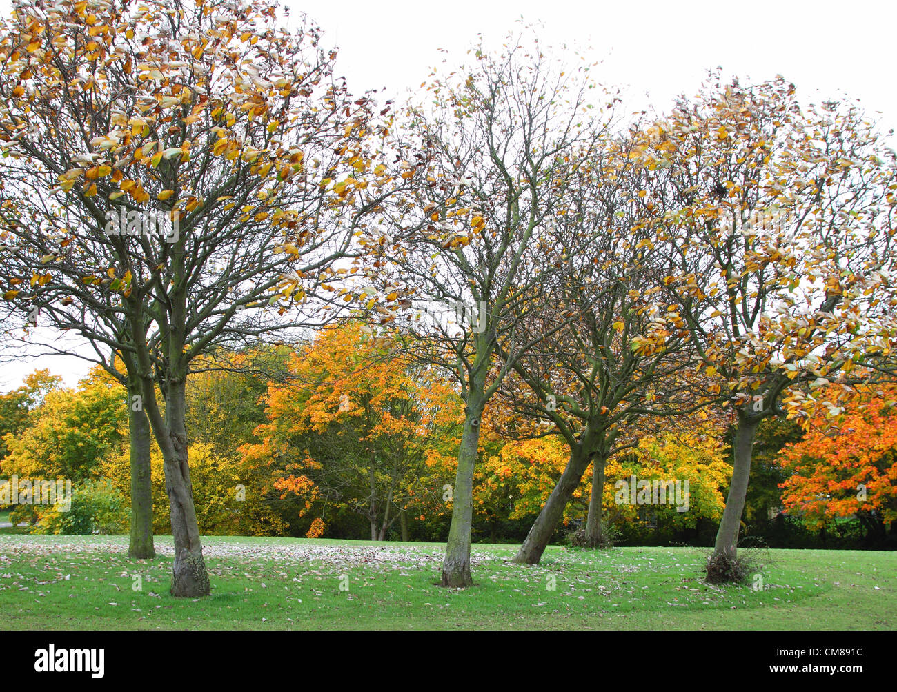 Fairlands valley stevenage hi-res stock photography and images - Alamy