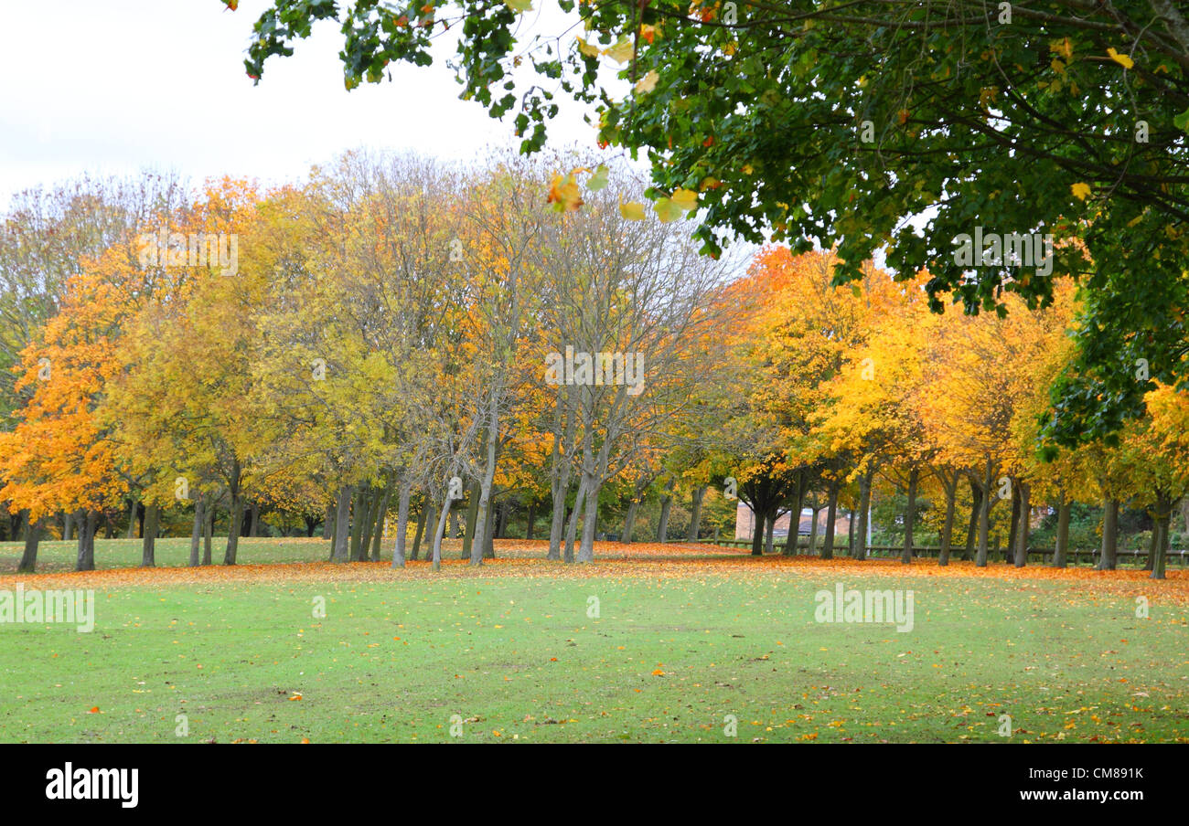 Fairlands valley stevenage hi-res stock photography and images - Alamy
