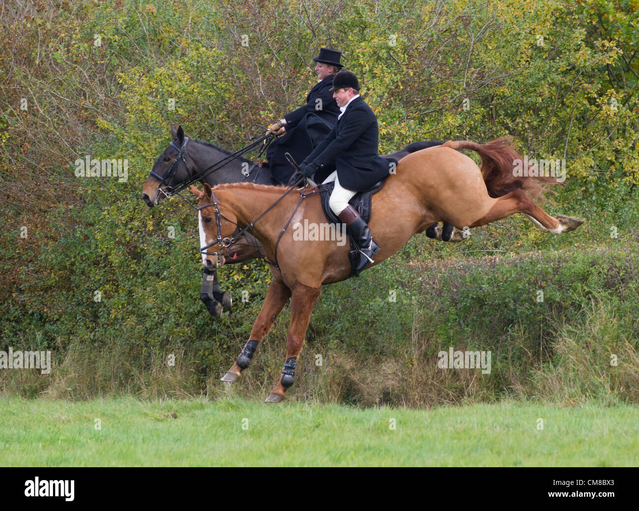 Horse jumping hedge hi-res stock photography and images - Alamy