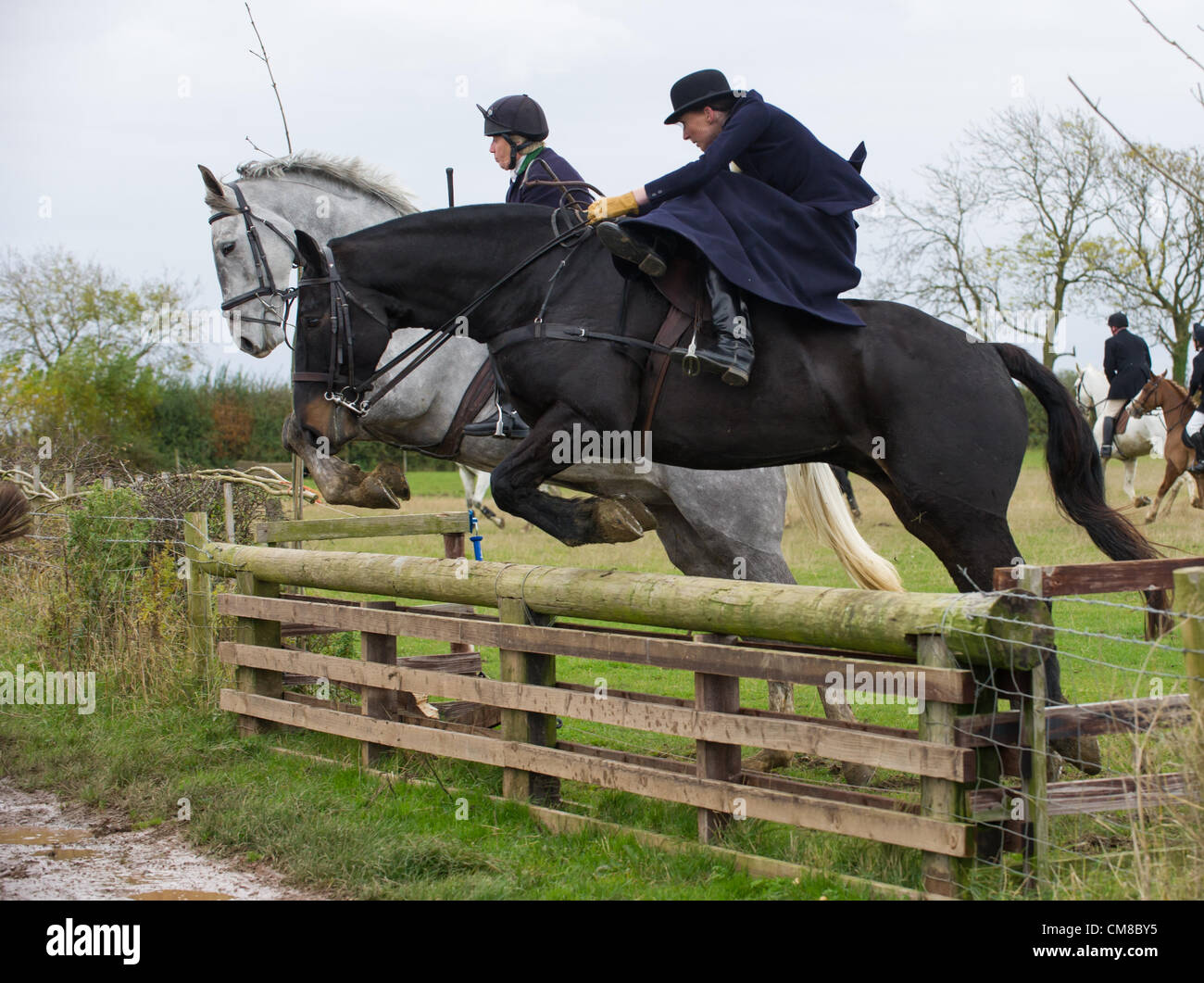 Horses Jumping Side Saddle 48 Sidesaddle Rider Royalty Free Images,