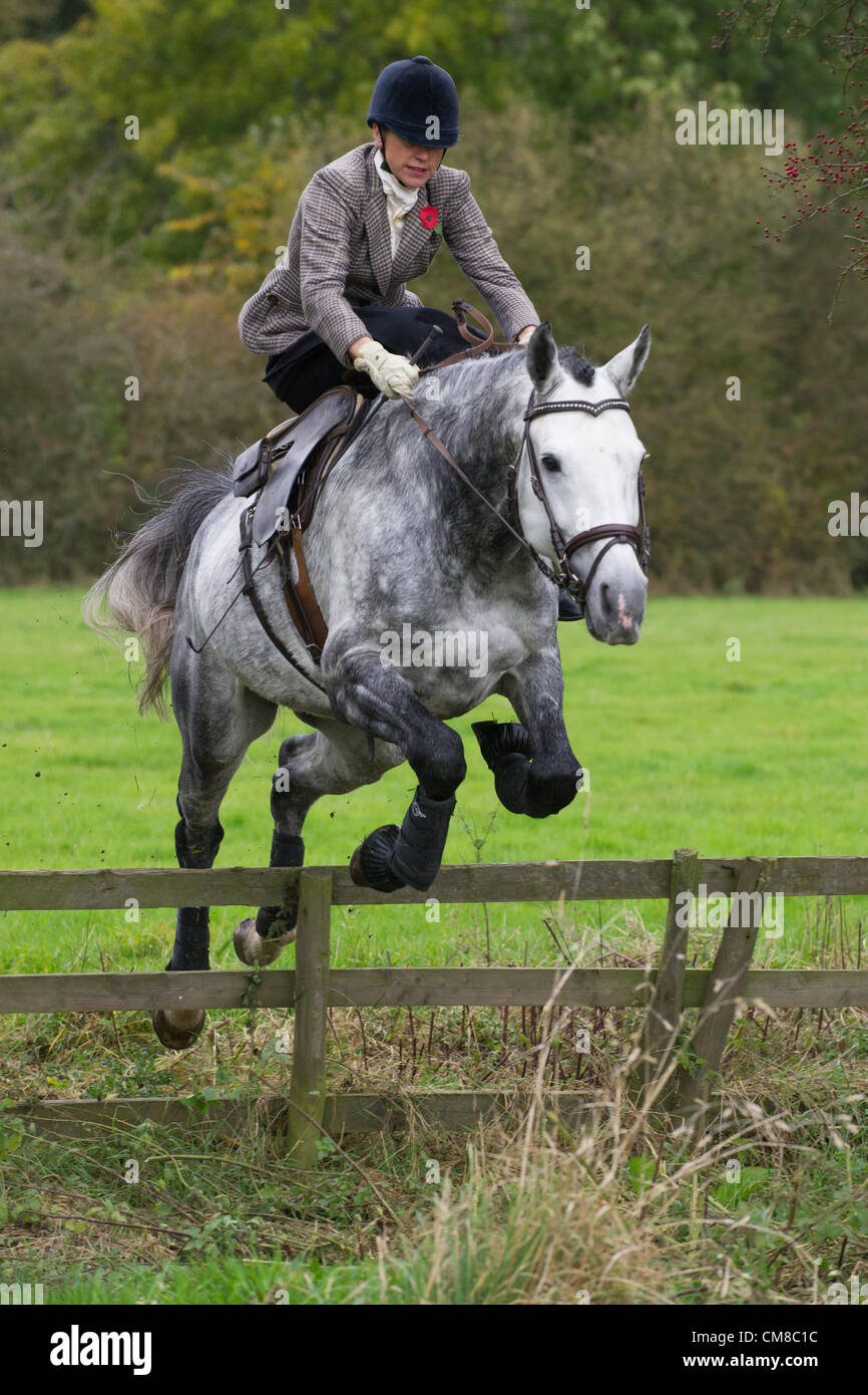 Leicestershire country house horse hi-res stock photography and images ...