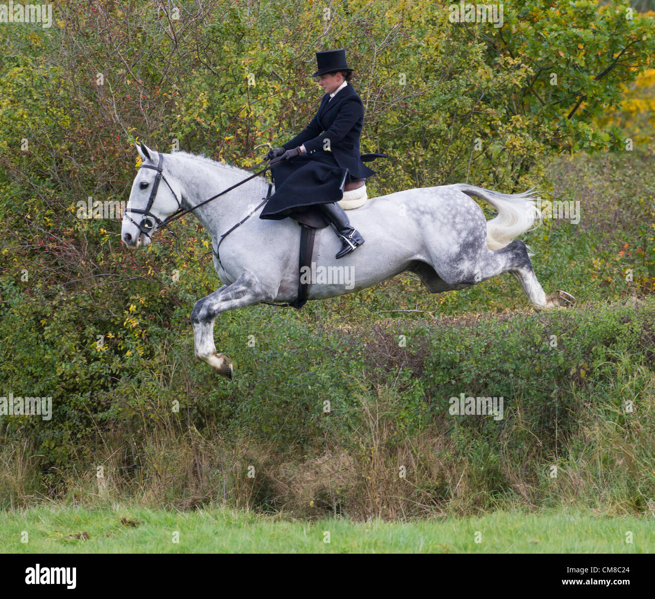 Sidesaddle saddle hi-res stock photography and images - Alamy