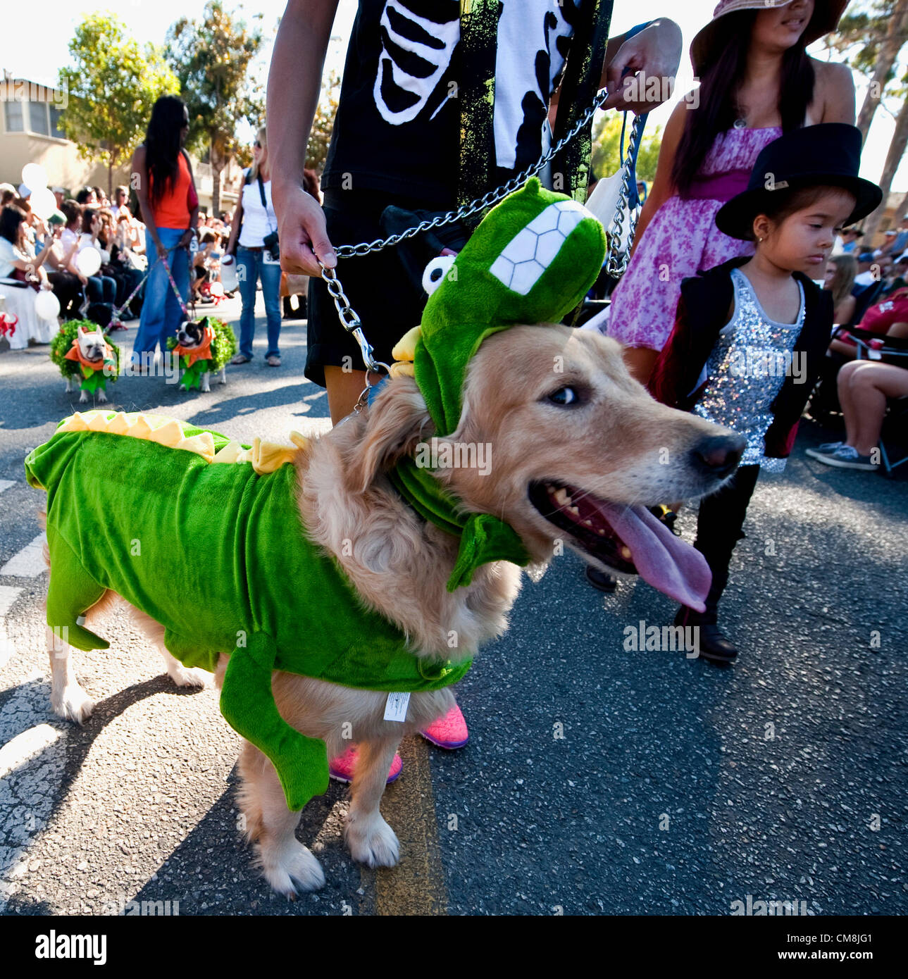 12th annual haute dog howloween parade hi-res stock photography and ...