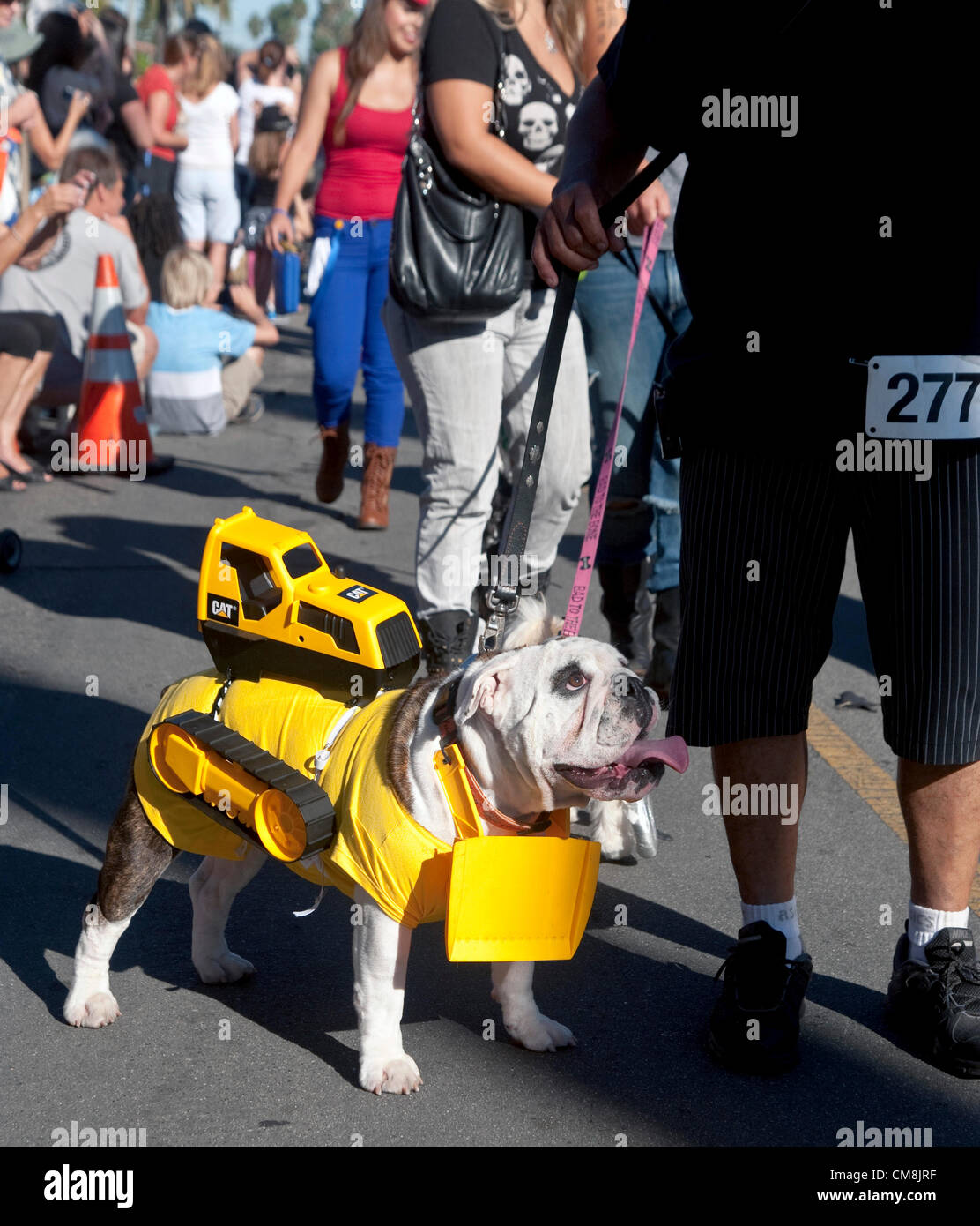 12th annual haute dog howloween parade hi-res stock photography and ...