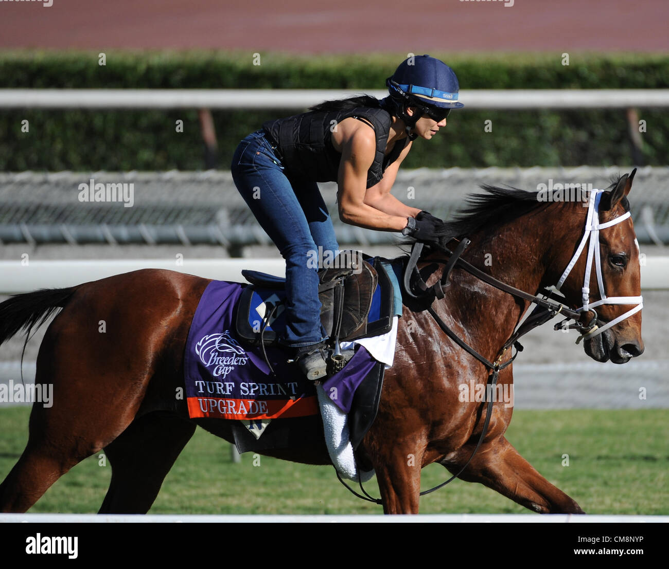 Oct. 29, 2012 - Arcadia, California, U.S. - Upgrade, trained by ...