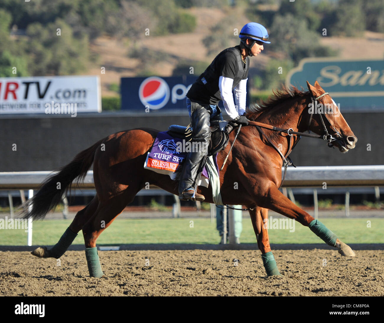 Oct. 29, 2012 - Arcadia, California, U.S. - Starspangled Heat, trained ...