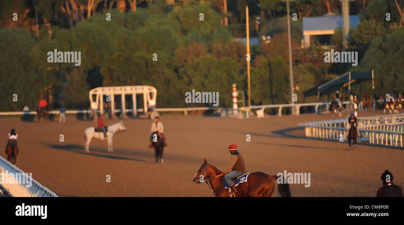 Oct. 29, 2012 - Arcadia, California, U.S. - Scenes from morning ...