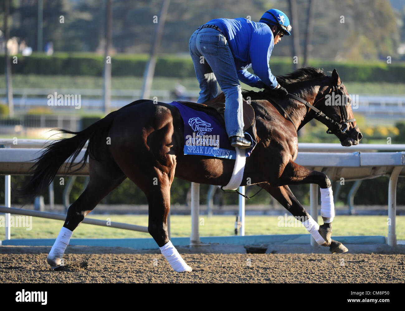 Oct. 29, 2012 - Arcadia, California, U.S. - Speak Logistics, trained by ...