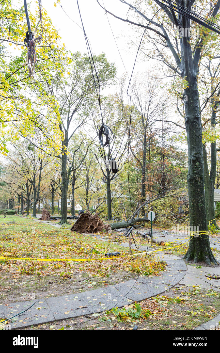 Strong winds of a Hurricane Sandy caused trees to topple bringing down ...