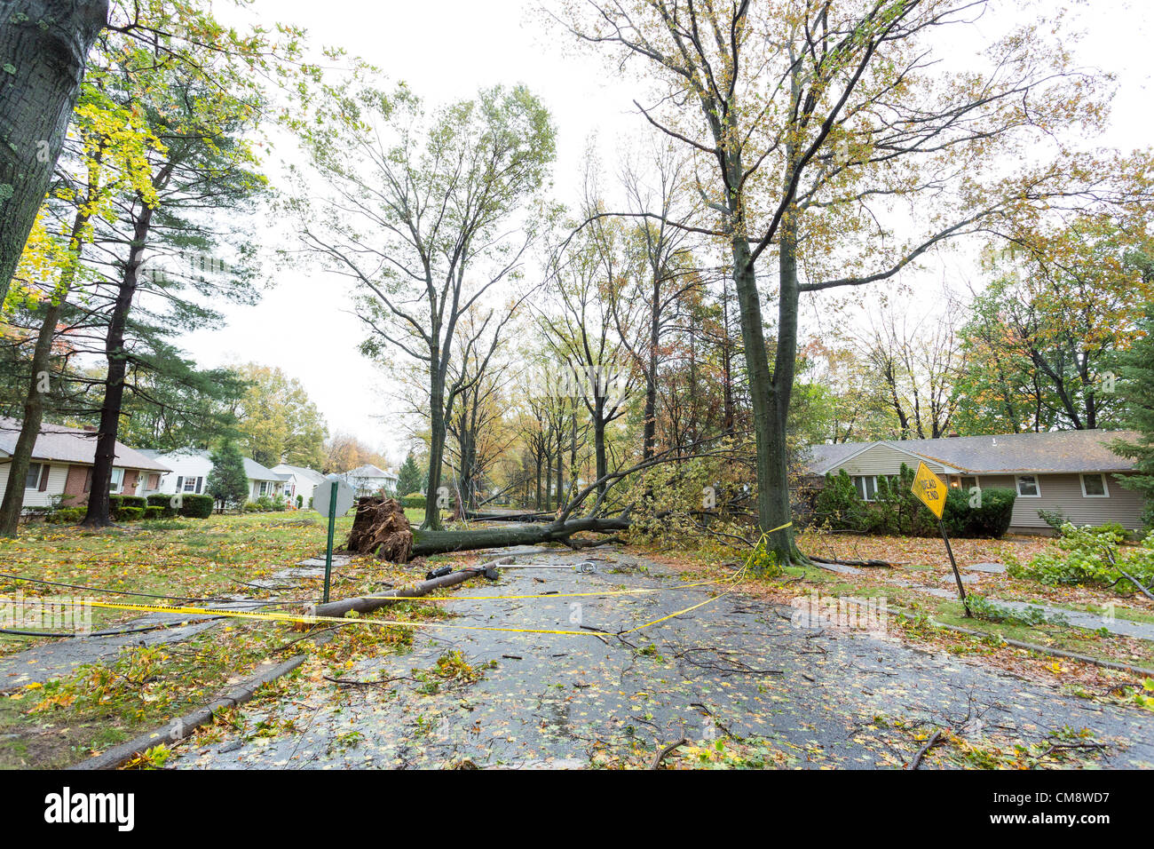 Strong winds of a Hurricane Sandy caused trees to topple bringing down ...