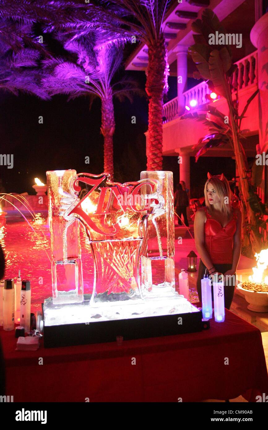 Zing vodka hi-res stock photography and images - Alamy