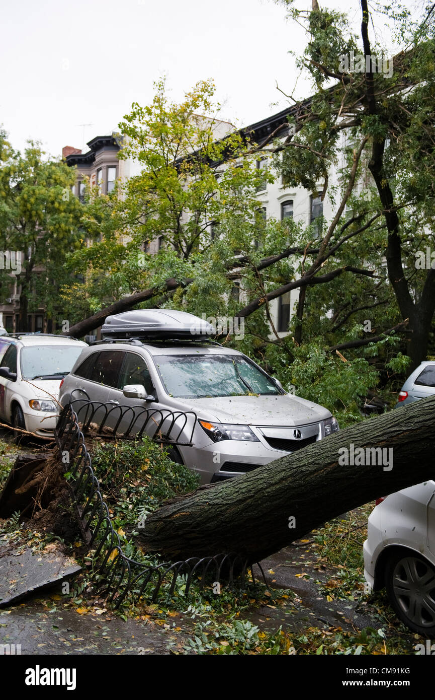 Hurricane aftermath aftermath hi-res stock photography and images - Alamy