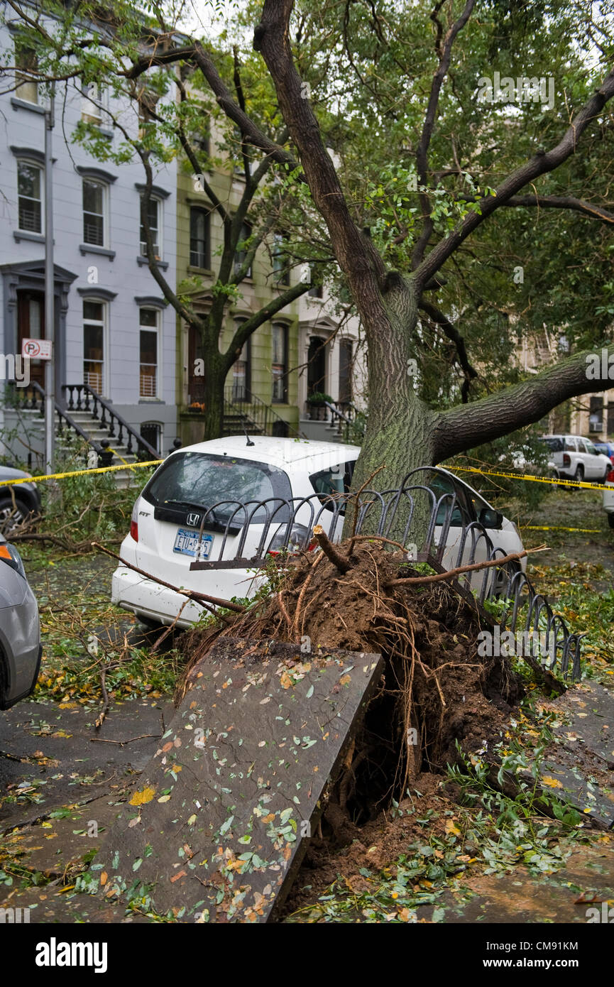 Brooklyn New York After Sandy
