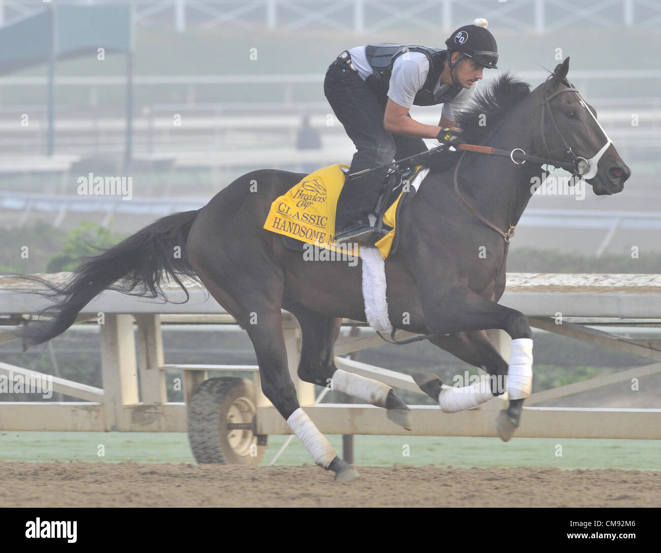 Oct. 31, 2012 - U.S. - Handsome Mike, trained by Doug O'Neill ...