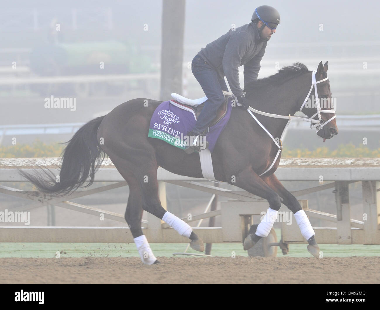 Oct. 31, 2012 - U.S. - Poseidon's Warrior, trained by Robert Reid, Jr ...