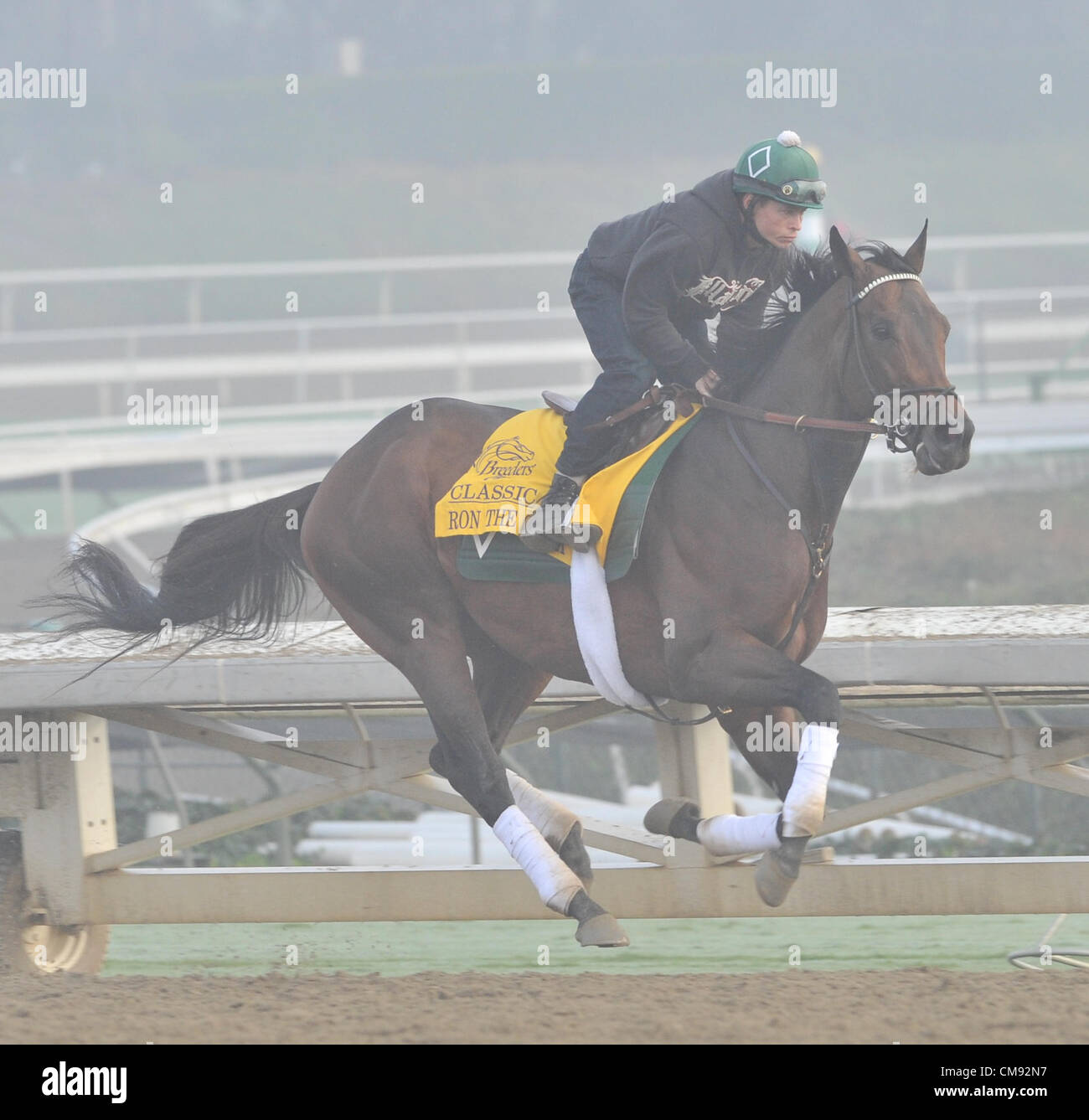 Oct. 31, 2012 - U.S. - Ron The Greek, trained by Bill Mott,exercises in ...