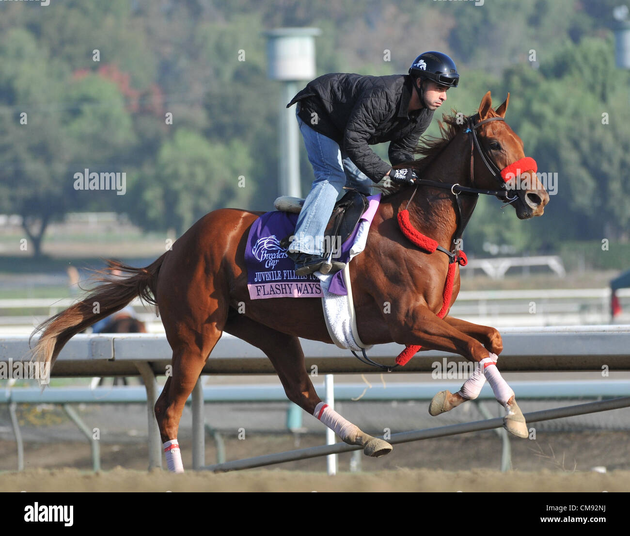 Oct. 31, 2012 - Arcadia, California, U.S. - Flashy Ways, trained by ...
