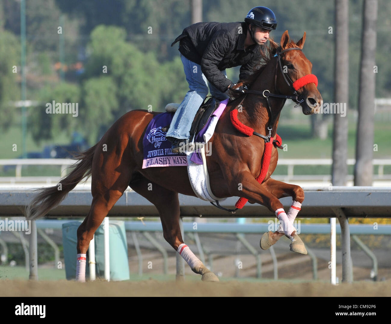 Oct. 31, 2012 - Arcadia, California, U.S. - Flashy Ways, trained by ...