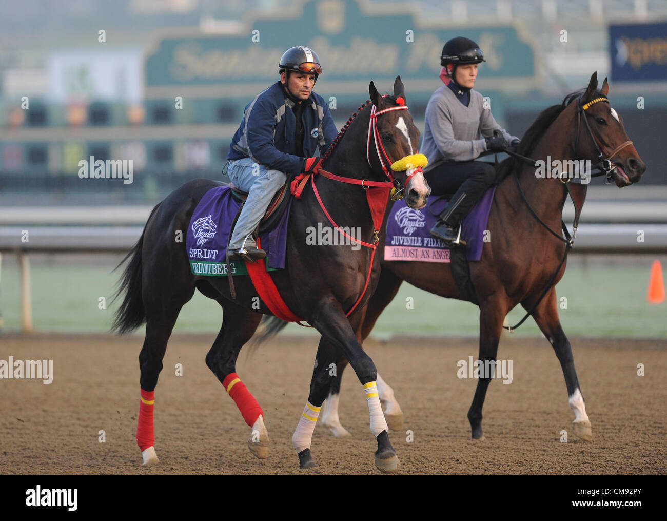 Anita ward hi-res stock photography and images - Alamy