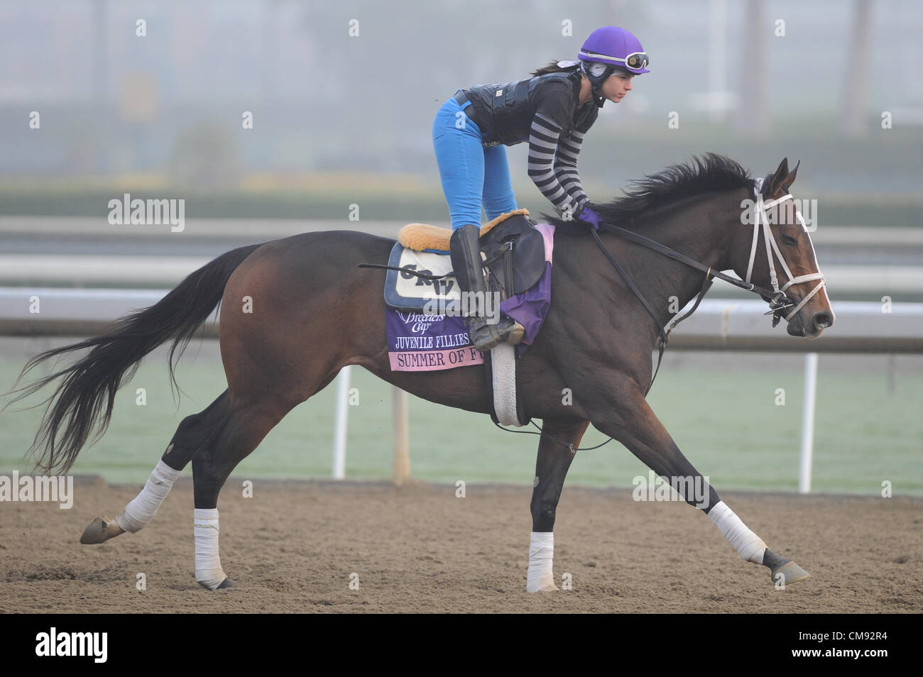 Oct. 31, 2012 - Arcadia, California, U.S. - Summer of Fun, trained by ...