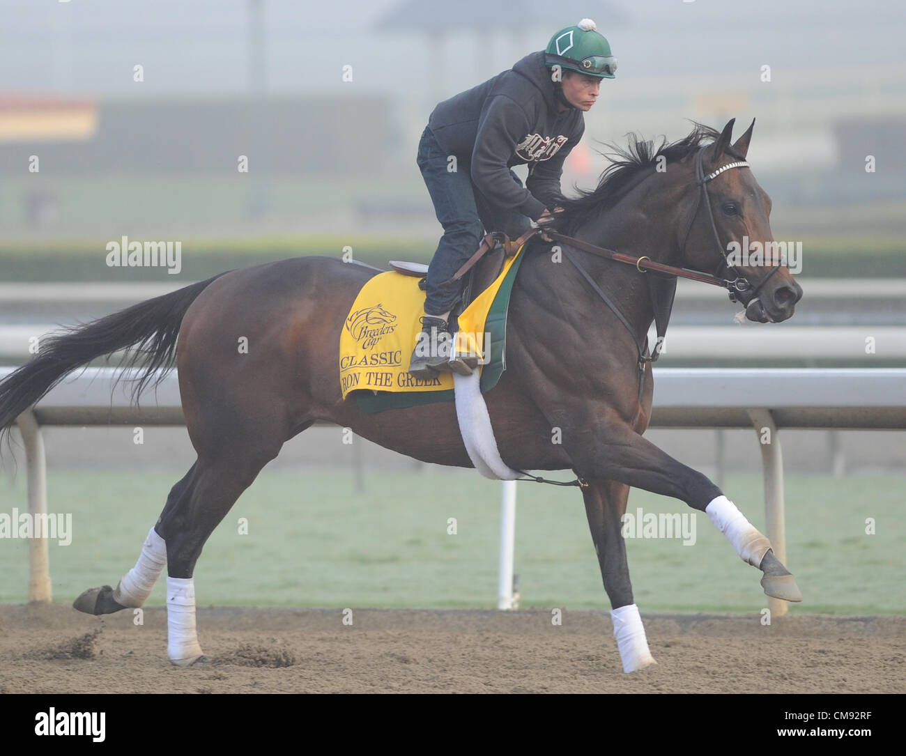Oct. 31, 2012 - Arcadia, California, U.S. - Ron The Greek, trained by ...