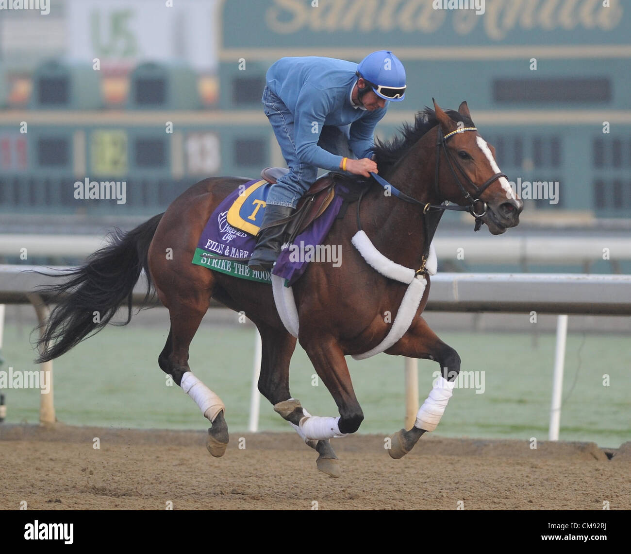 Oct. 31, 2012 - Arcadia, California, U.S. - Strike The Moon, trained by ...