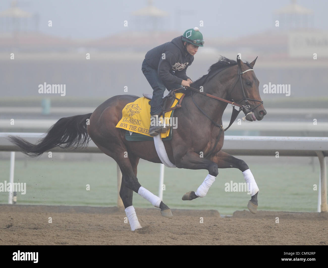 Oct. 31, 2012 - Arcadia, California, U.S. - Ron The Greek, trained by ...