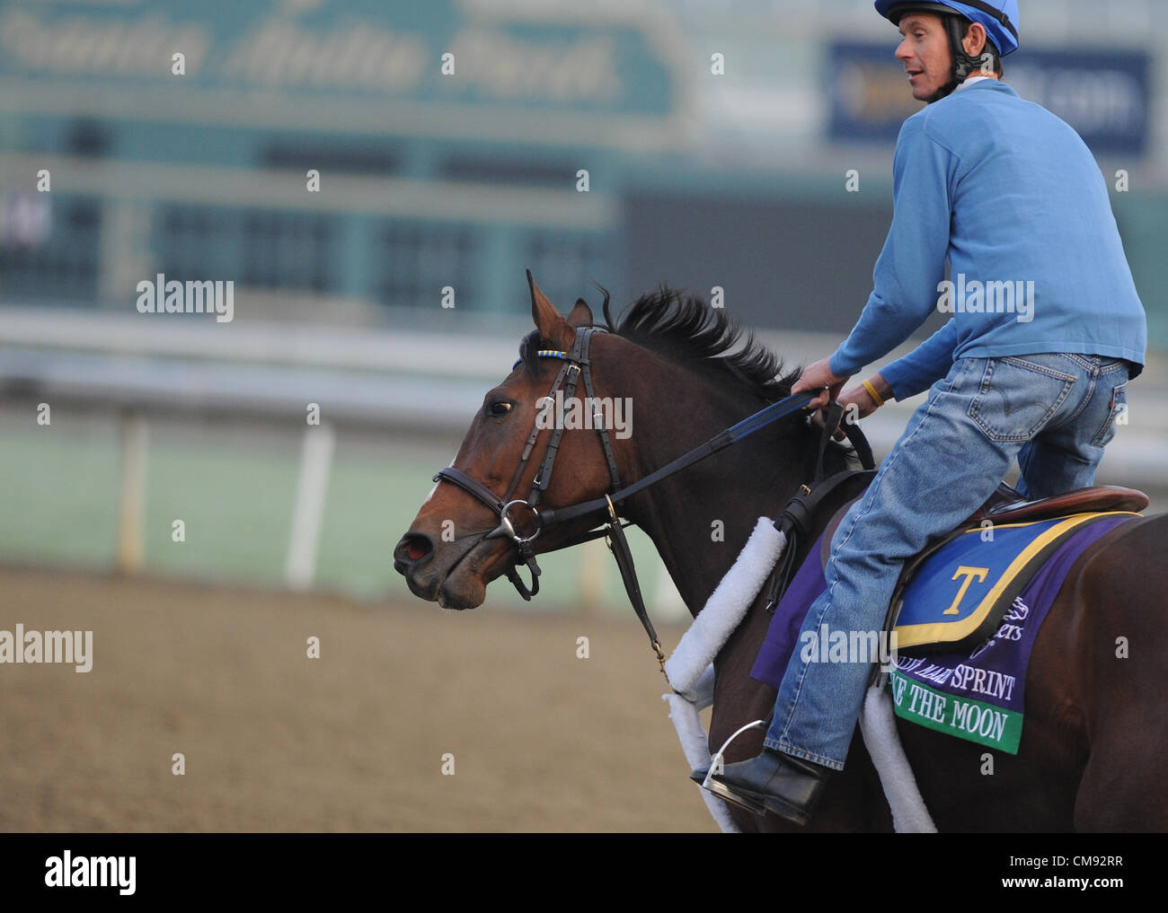 Oct. 31, 2012 - Arcadia, California, U.S. - Strike The Moon, trained by ...