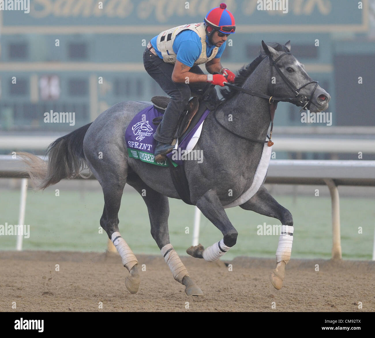Oct. 31, 2012 - Arcadia, California, U.S. - The Lumber Guy, trained by ...
