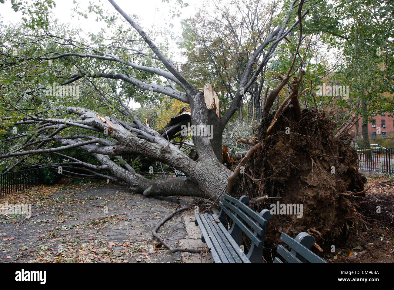 October,31st, New York, NY, USA : Damage caused by hurricane Sandy in ...