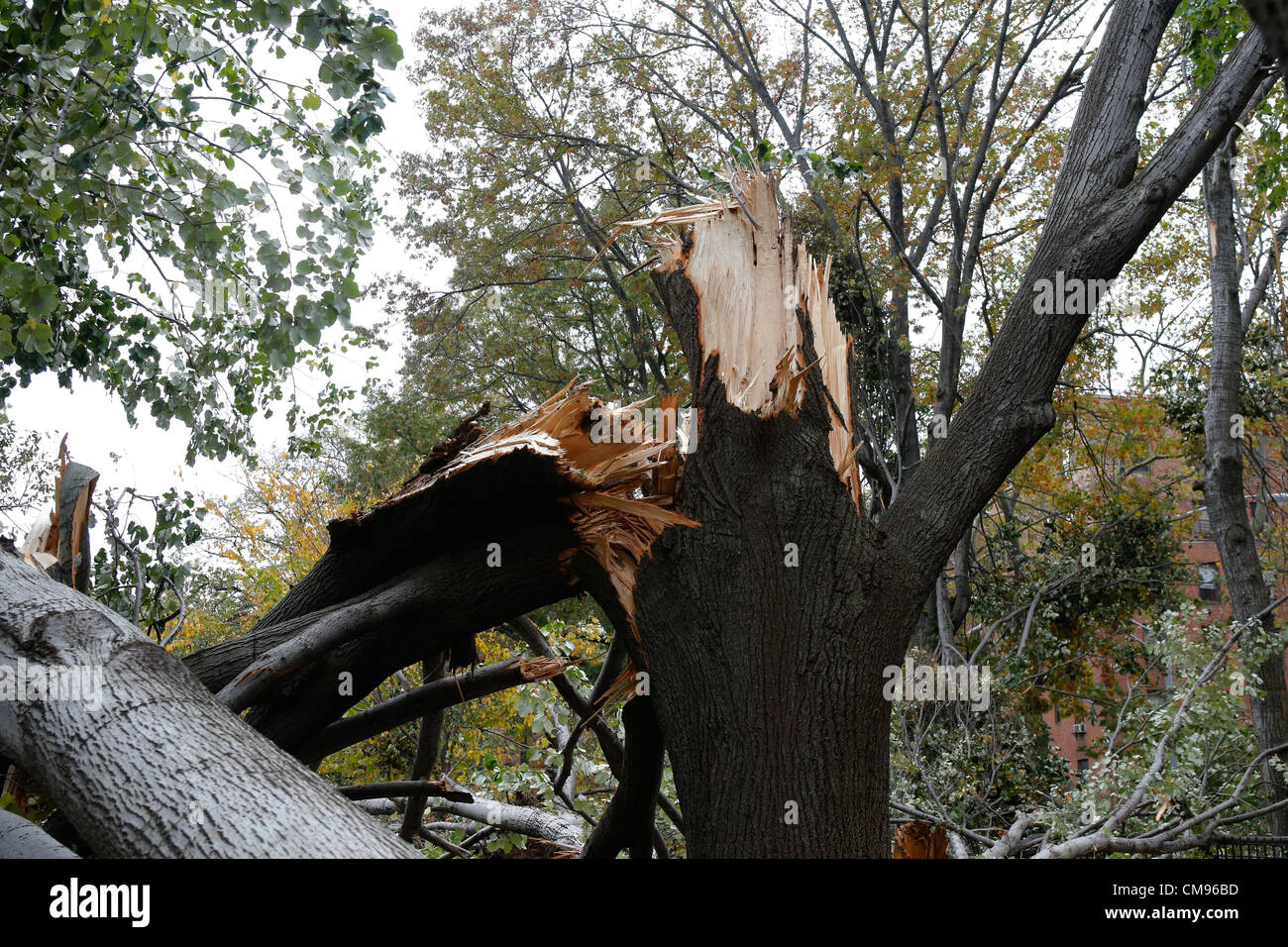 October,31st, New York, NY, USA : Damage caused by hurricane Sandy in ...