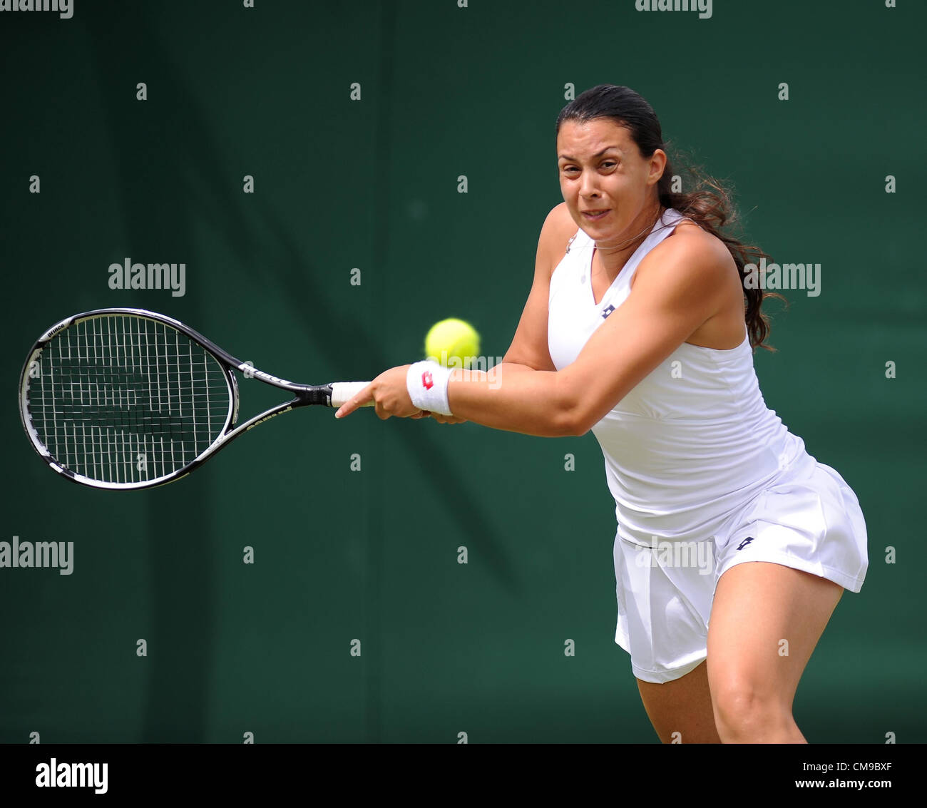 Marion bartoli hi-res stock photography and images - Alamy