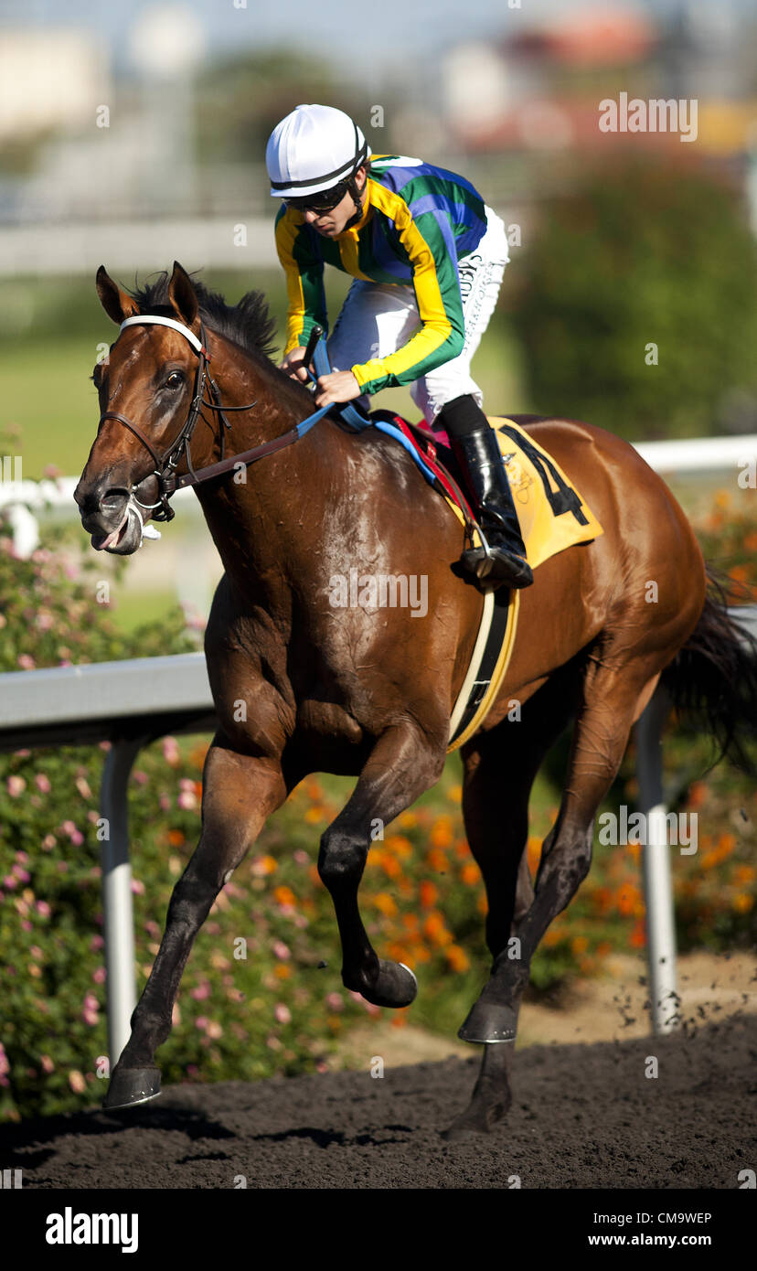 Inglewood, CA, U.S. - Suggestive Boy with Joe Talamo up after the ...
