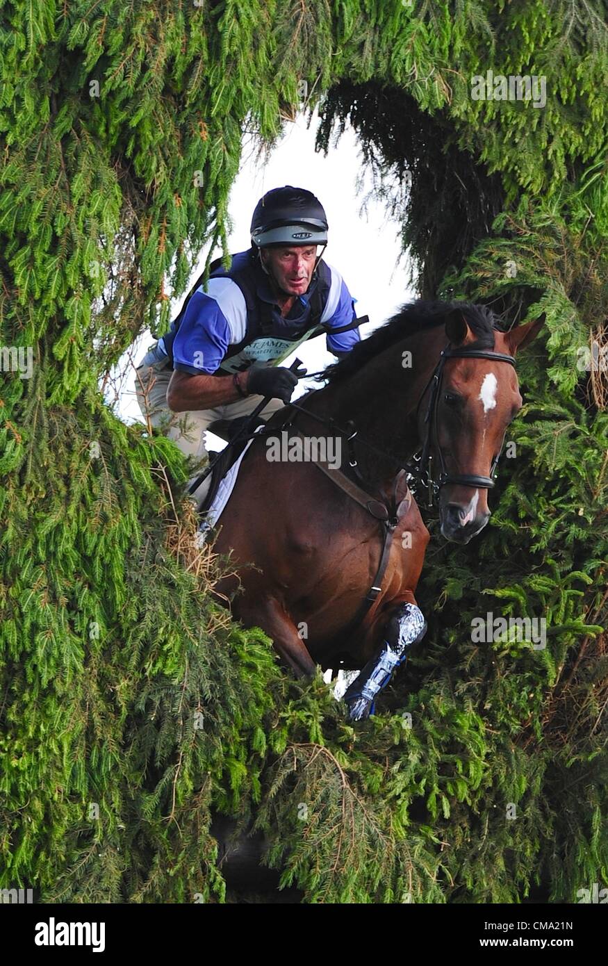 New zealands mark todd hi-res stock photography and images - Alamy